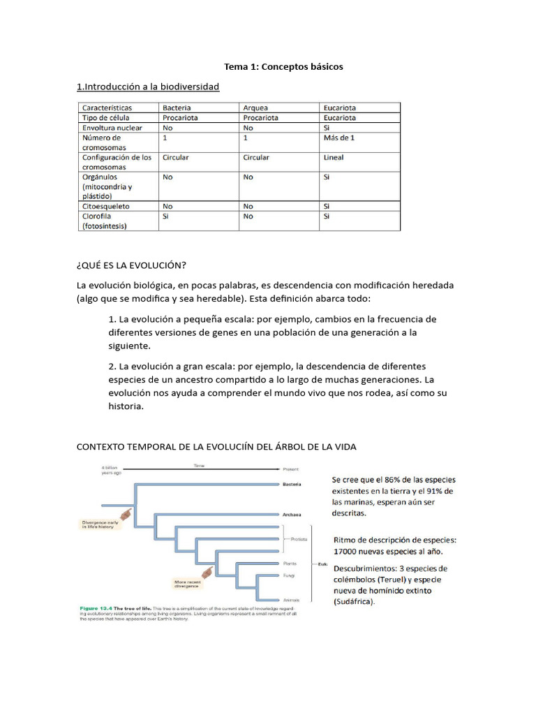 Tema 1 Conceptos Básicos | Descargar gratis PDF | Evolución | Seleccion natural