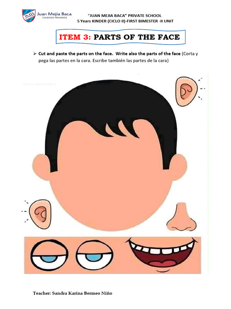 Parts of The Face-Body | PDF