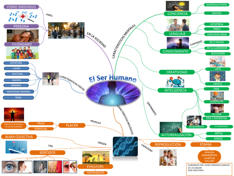 Mapa Mental El Ser Humano | PDF | Ciencias del comportamiento | Sicología