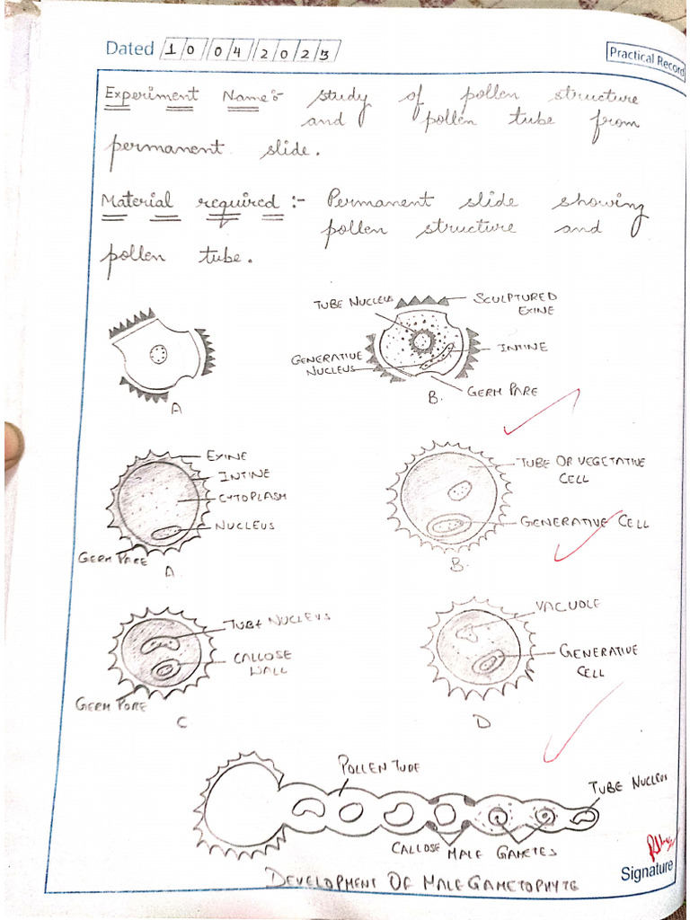 Biology Practical | PDF