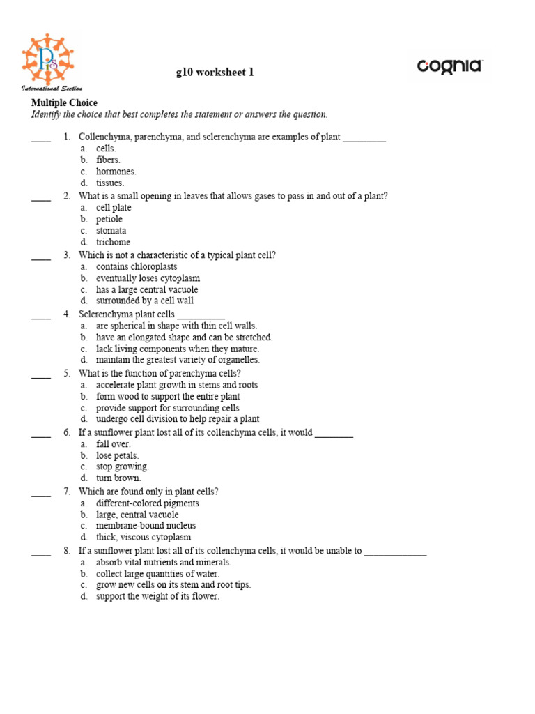 g10 Worksheet 1 Plants | PDF | Tissue (Biology) | Cell (Biology)
