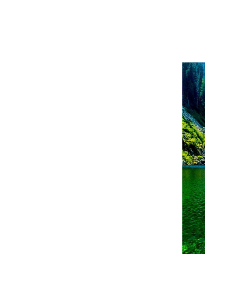Performa | PDF