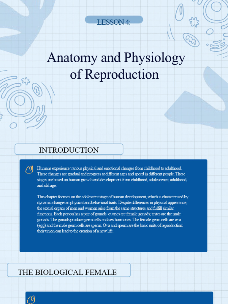 LESSON-4 Anatomy and Physiology of Reproduction | PDF | Menstrual Cycle | Ovary