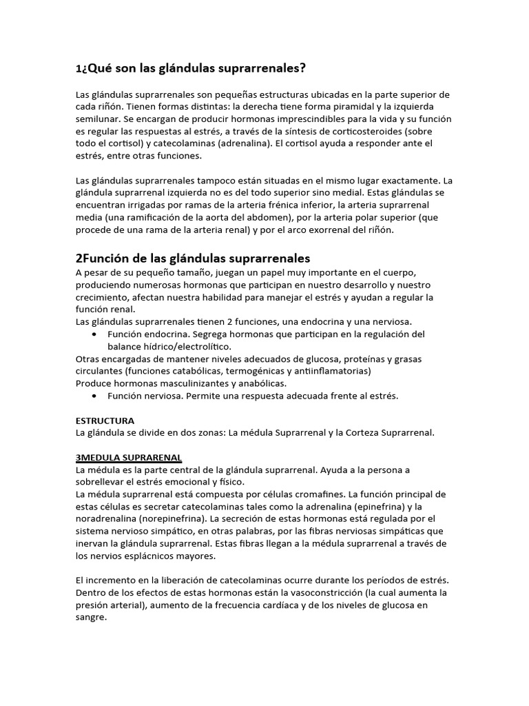 GLANDULAS | PDF | Glándula suprarrenal | Norepinefrina