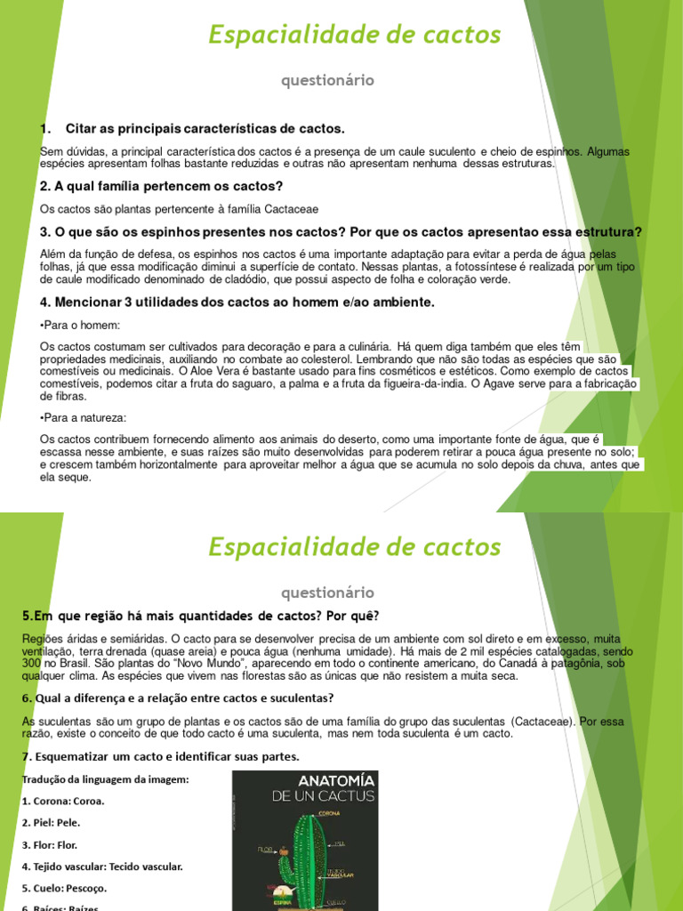 Espacialidade de Cactos Danilo | PDF | Folha | Plantas
