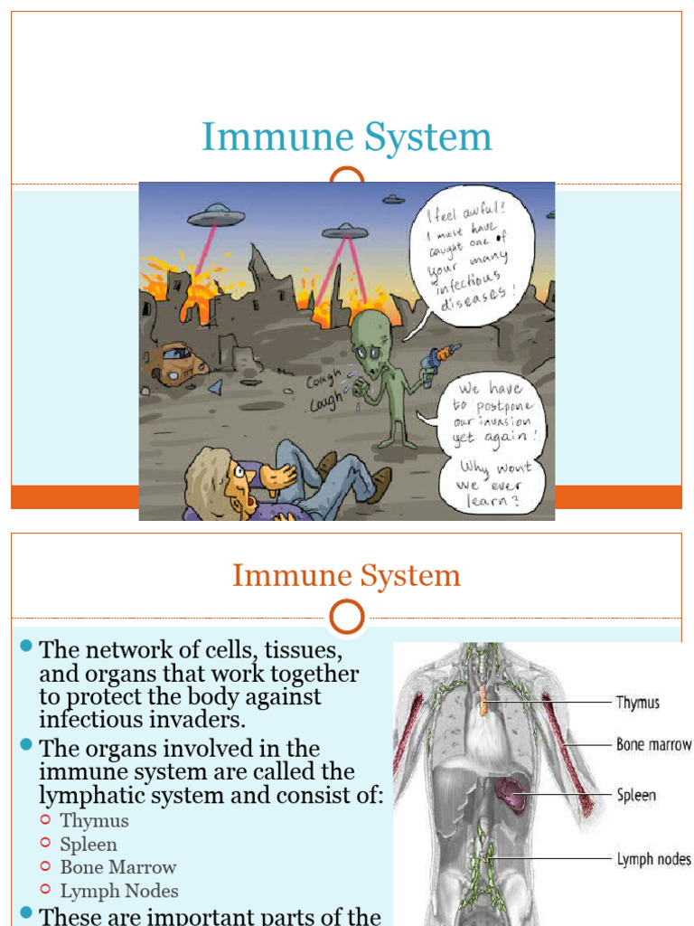 Immune System Combined | PDF | Immune System | Lymphatic System