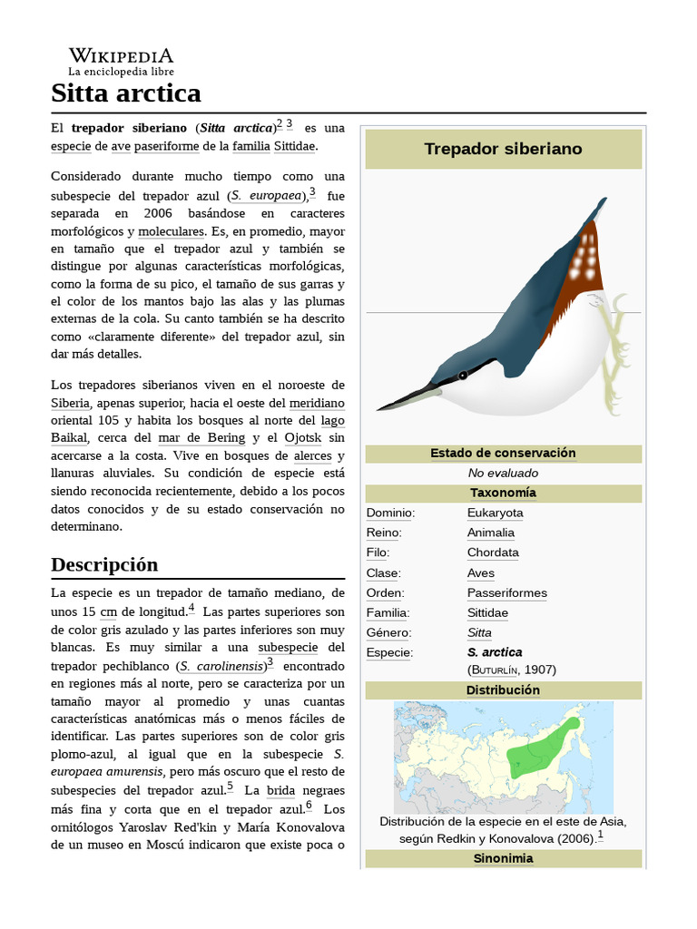 Sitta Arctica | PDF | Aves