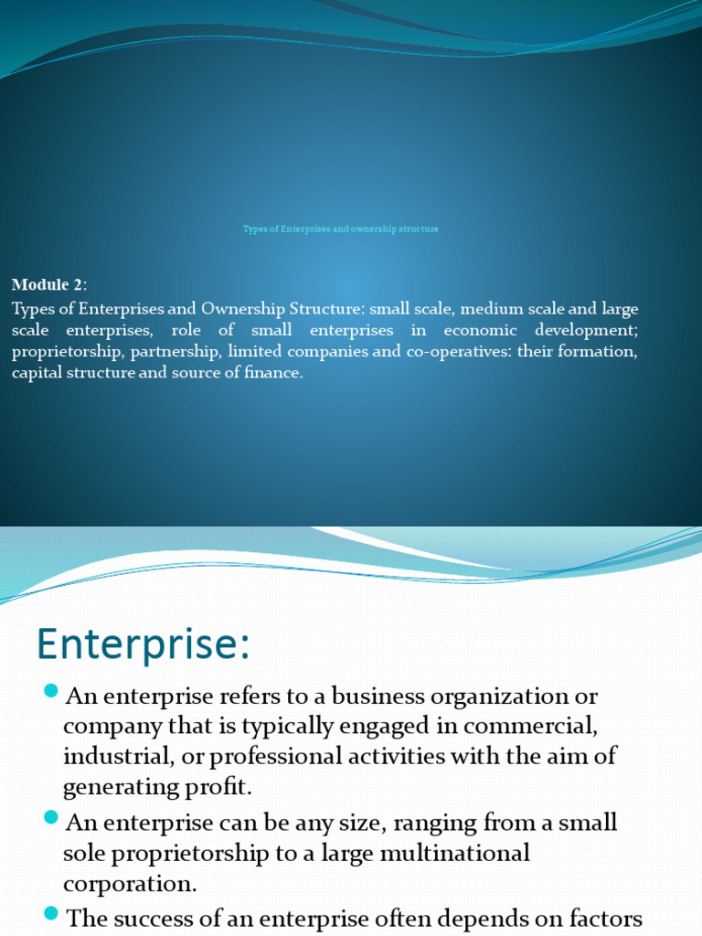 Module 2 - Final | PDF | Partnership | Business