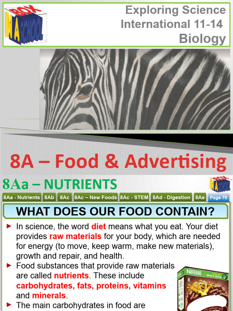 Nutrients and Balanced Diet Essentials | PDF | Human Digestive System ...