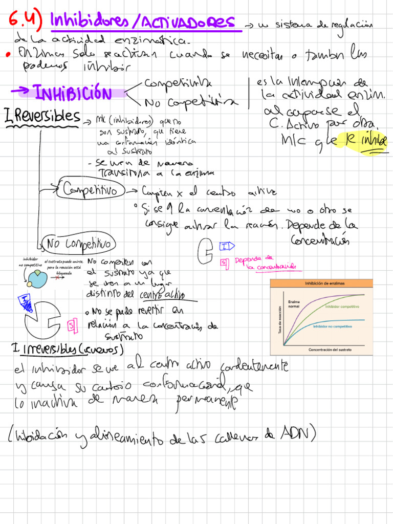 Enzimas y Biotec 2 | PDF | Inhibidor de la enzima | Sustrato (Química)