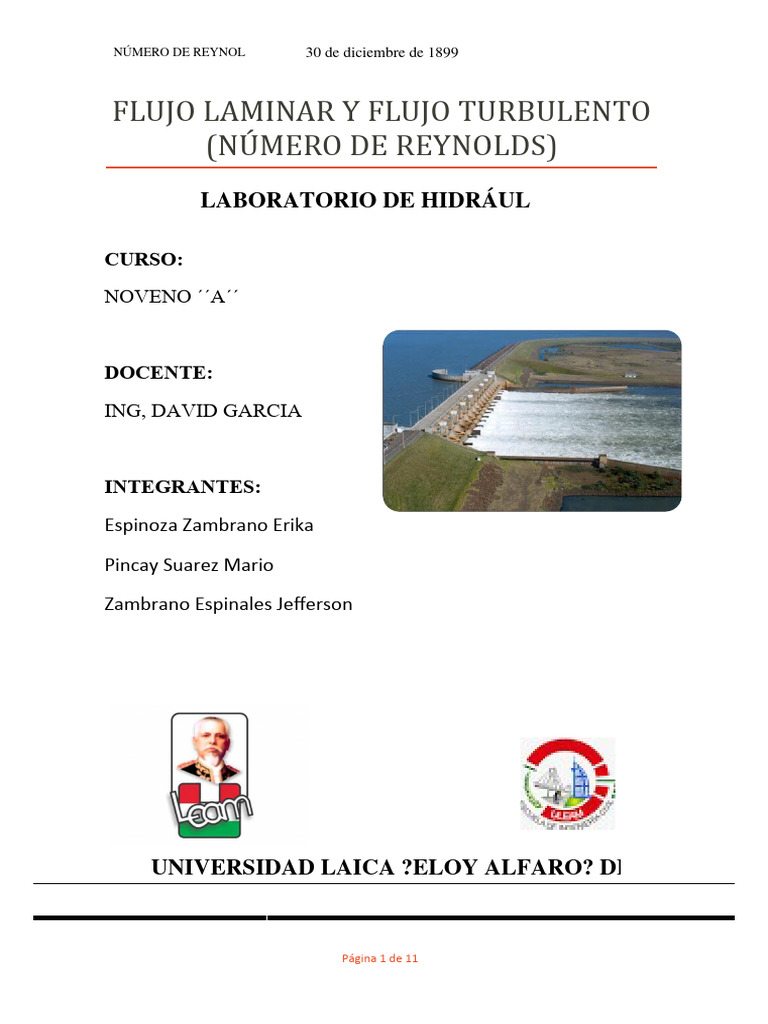 Ensayo de Reynolds | PDF | Numero Reynolds | Flujo laminar
