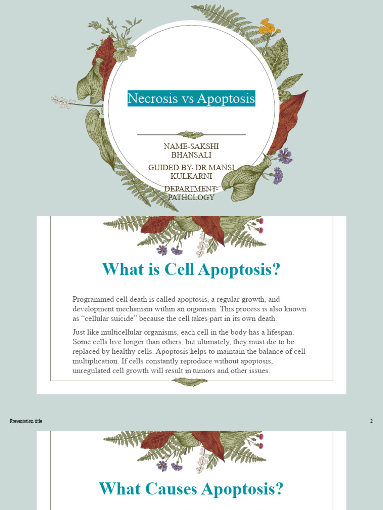 Necrosis Vs Apoptosis | PDF | Apoptosis | Necrosis