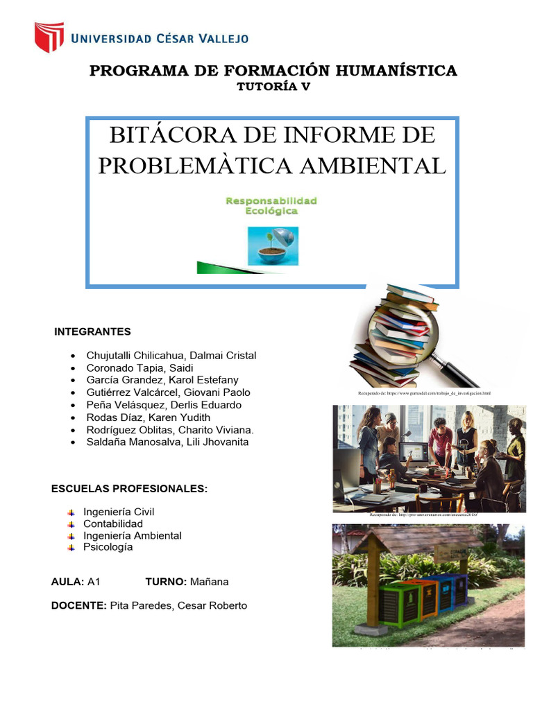 INFORME DE LA PROBLEMATICA AMBIENTAL-GRUPO 06 | PDF | Science