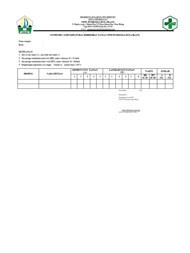 Form Audit Ppi | PDF