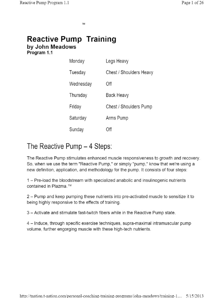 John Meadows - ReactivePumpProgram | PDF
