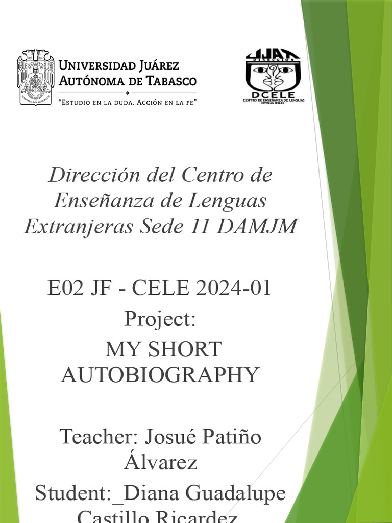 Model Example My Autobiography | PDF