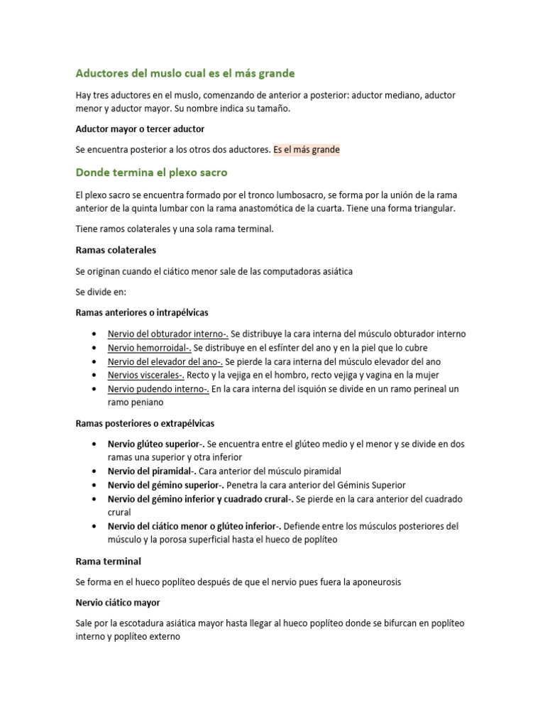 Guia De Anatomia Teoria Pdf Abdomen Hígado