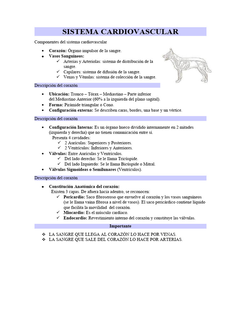 Adri 2 | Descargar gratis PDF | Sistema circulatorio | Corazón