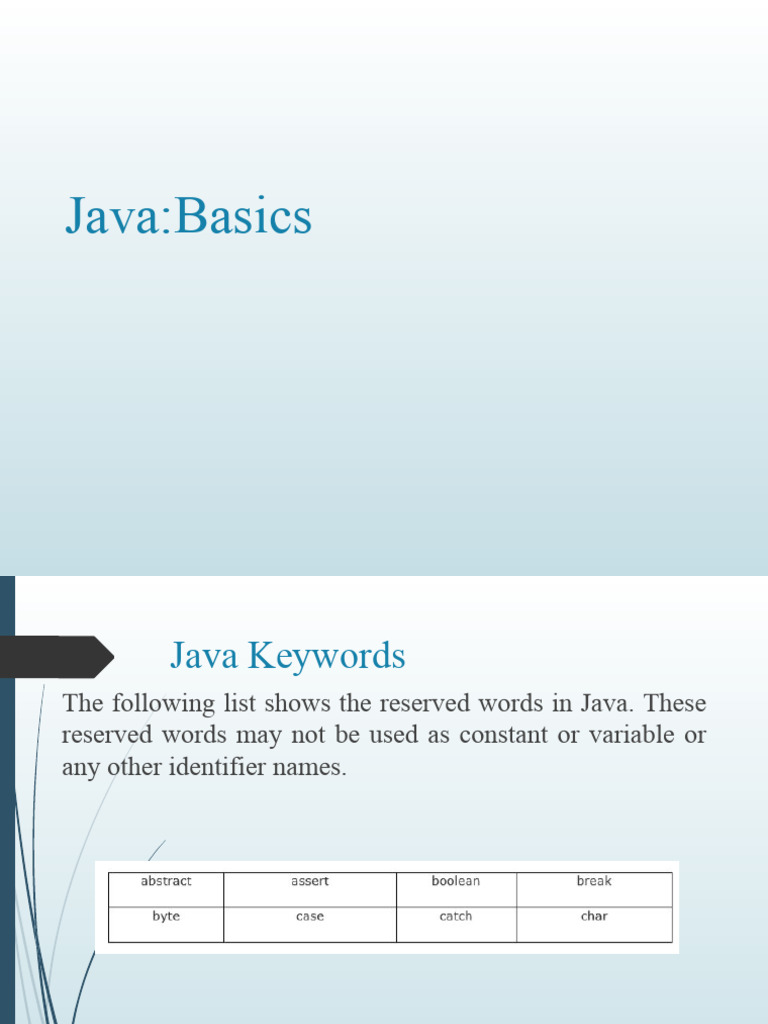 Java Programming Basics Explained | PDF | Boolean Data Type | Data Type
