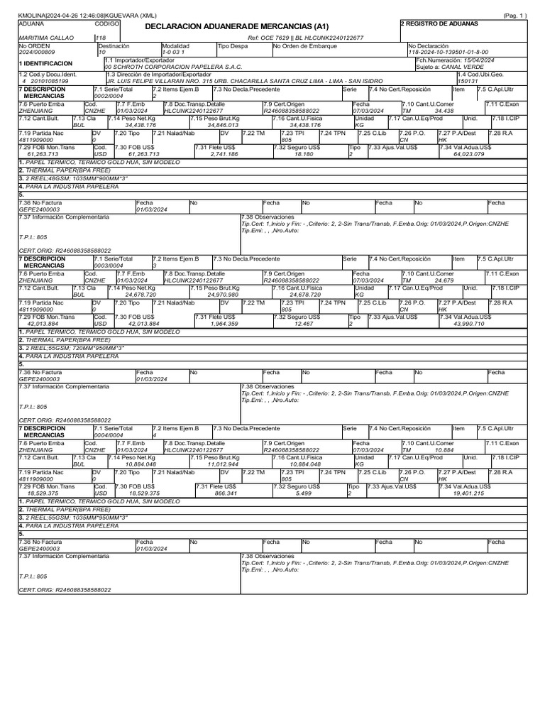 DAM DE IMPORTACION FORMATO A1 | PDF