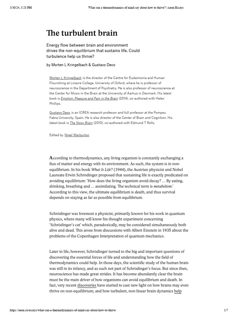 The Turbulent Brain | Download Free PDF | Entropy | Non Equilibrium ... The Turbulent Brain | Download Free PDF | Entropy | Non Equilibrium ...