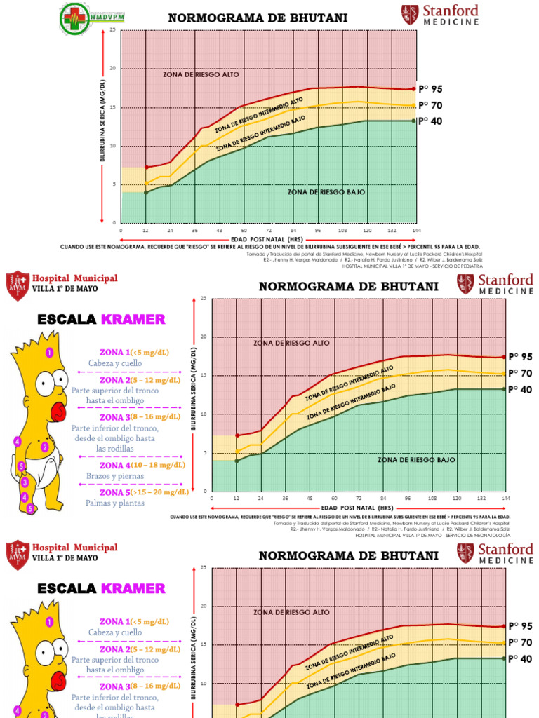 NORMOGRAMA DE BUTANI HMVPM Hojas | PDF
