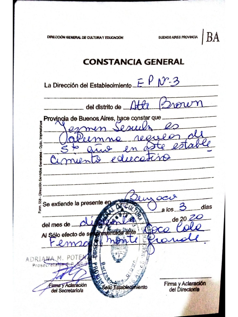Documento 9 | PDF