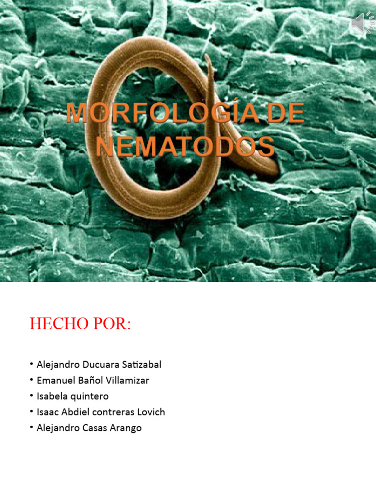 Exposicion de Sistema Inmune en Nematodos 3 | PDF | Sistema inmune | Nematodo