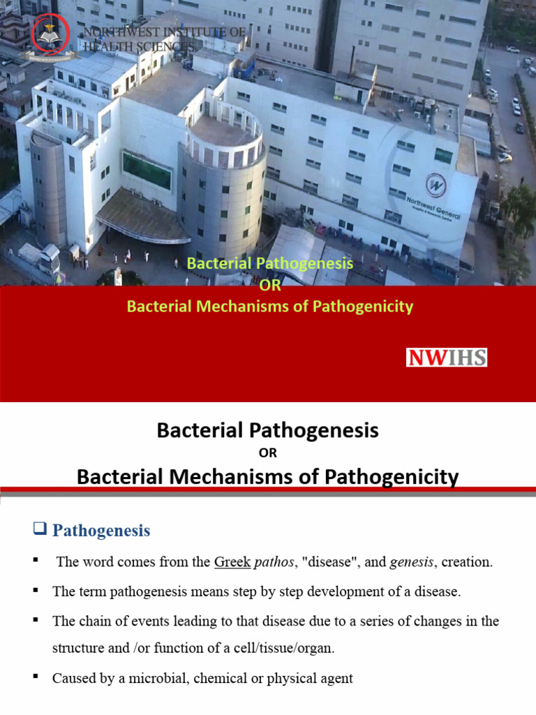 Bacterial Pathogensis | PDF | Infection | Lipopolysaccharide