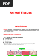 Lfsc Grade 10 - Unit 4 - Plant and Animal Tissues | PDF | Tissue ...