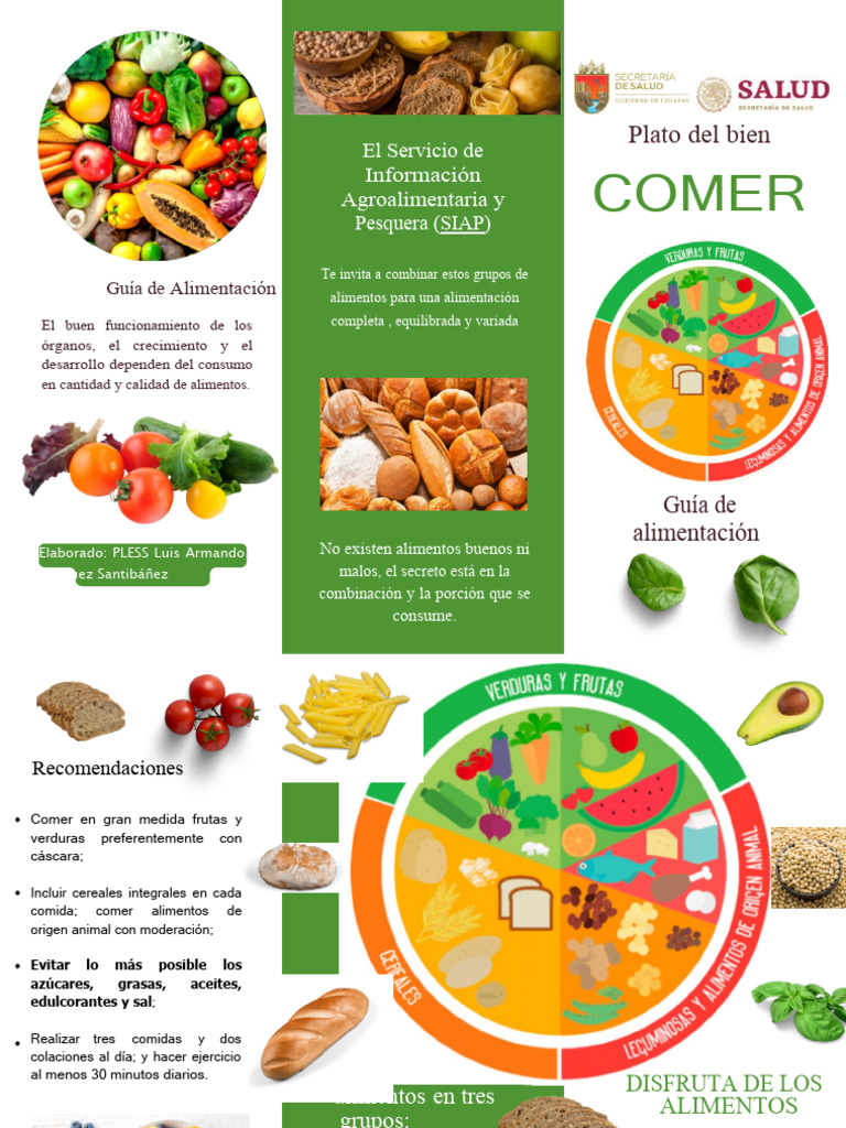 Triptico Plato Bien Comer | PDF Triptico Plato Bien Comer | PDF