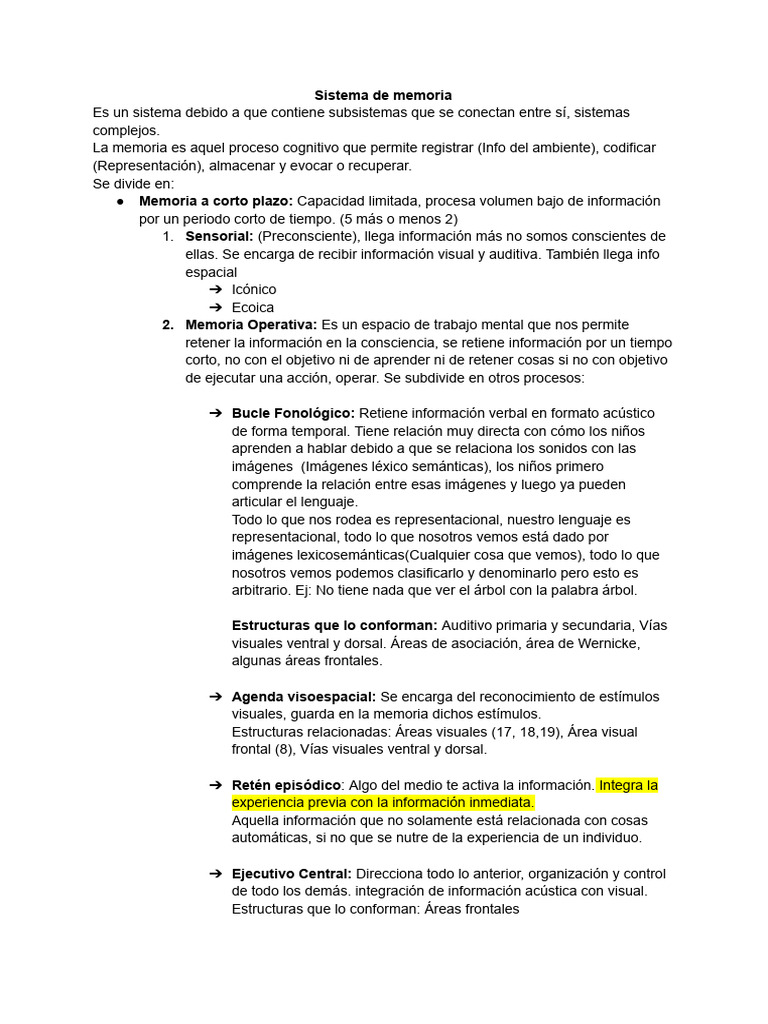 Estructura y Función de la Memoria Humana | PDF | Memoria | Cerebro