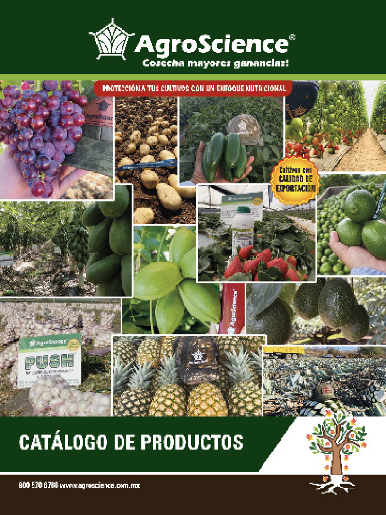 AS Catalogo AGROSCIENCE 2020 | PDF | Insecticida | Suelo