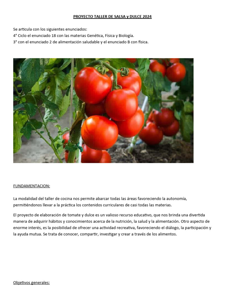 Proyecto Taller de Salsa | PDF | Evaluación