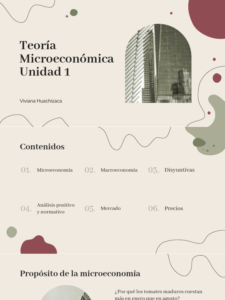 Teoria Micro_Unidad 1 | PDF | Mercado (economía) | Precios
