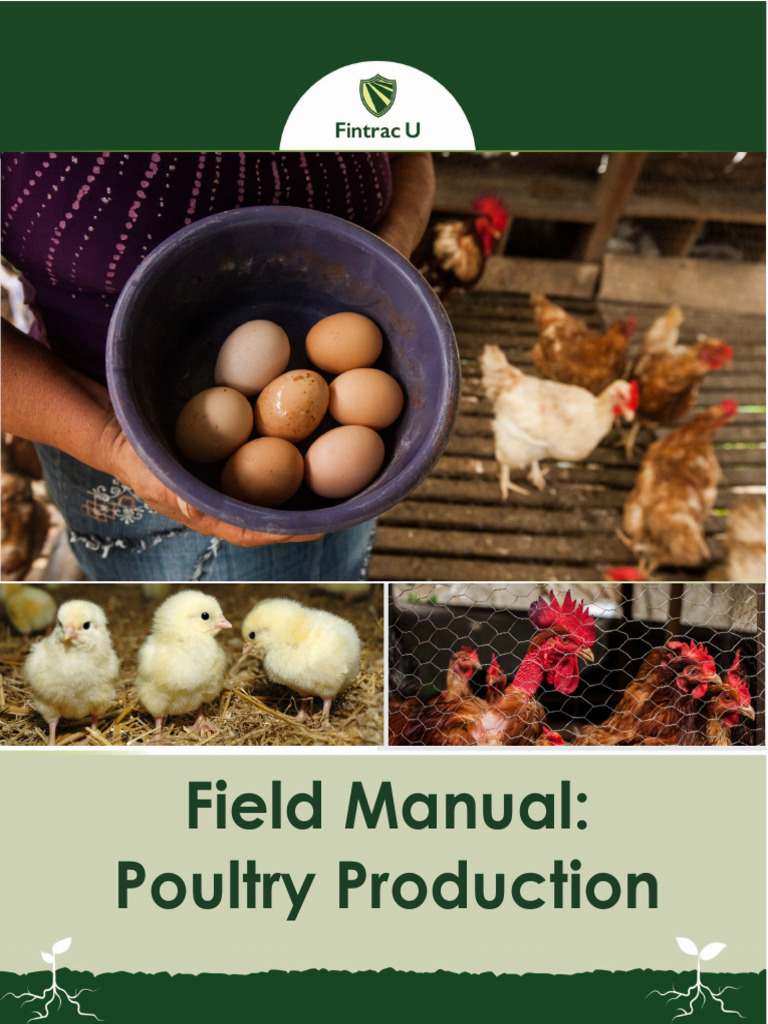 Field Manual:poultry Production | PDF | Chicken | Poultry Farming