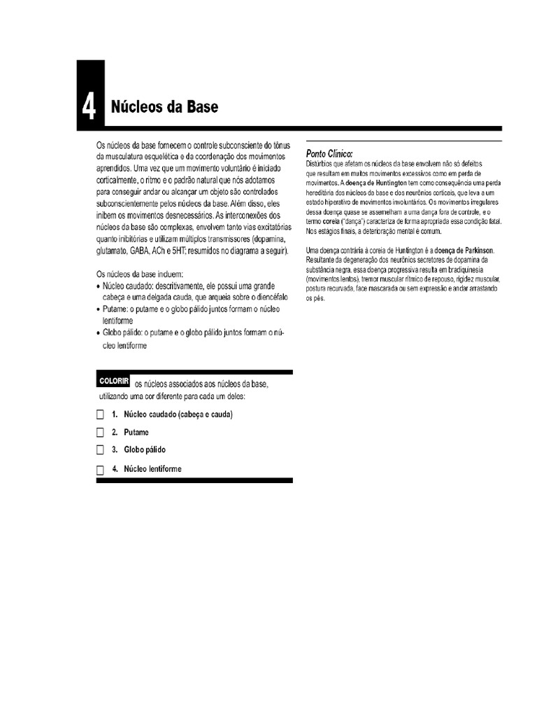 Netter - Núcleos Da Base | PDF