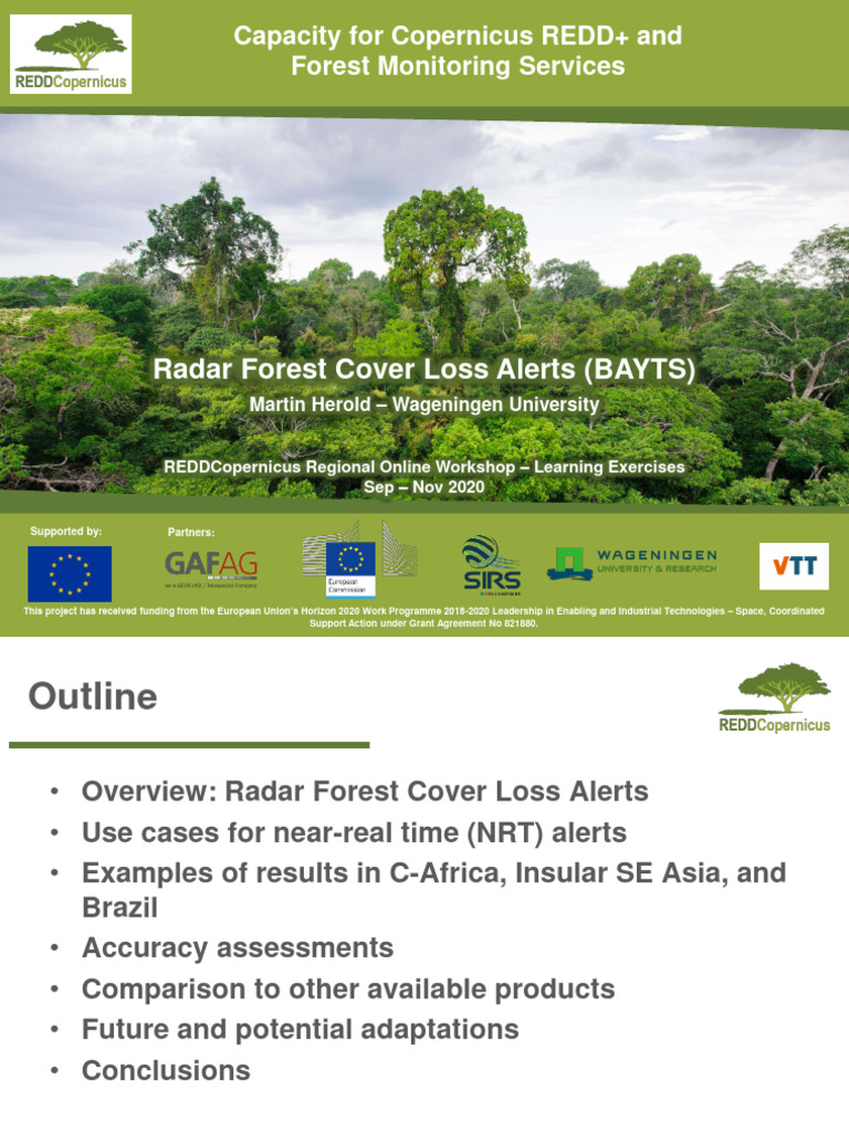 Session 4 Radar Forest Cover Loss Alerts BAYTS | PDF | Forests ...