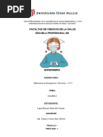CUDYR (Instrumento) | PDF | Terapia intravenosa | Medicina