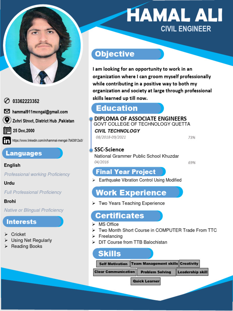 Diploma CV | PDF | Cognition | Learning