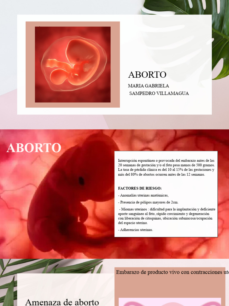 ABORTO | Descargar gratis PDF | El embarazo | Aborto