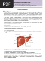 Anatomia e Histologia Do Fígado | PDF | Fígado | Hepatócito