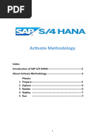 ABAP-RICEFW or WRICEF in SAP Project With Business Example | PDF ...
