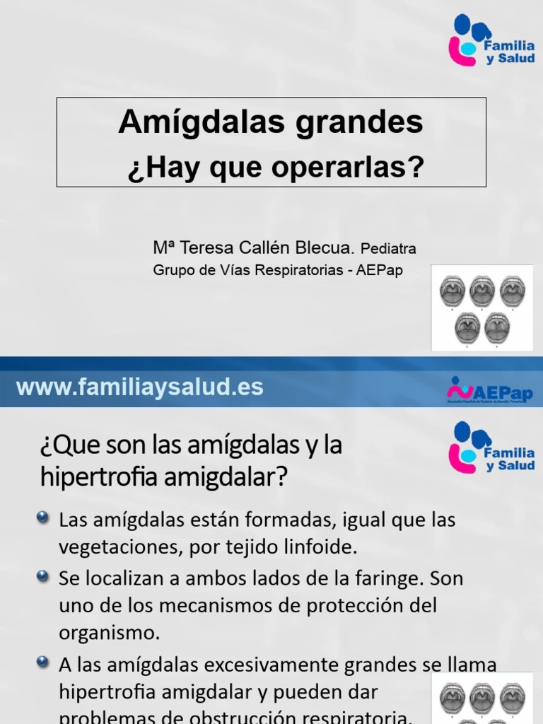 912 Callen M Amigdalas Grandes | PDF