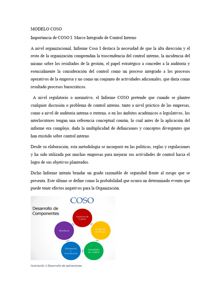 Modelo Coso | PDF | Auditoría | Business
