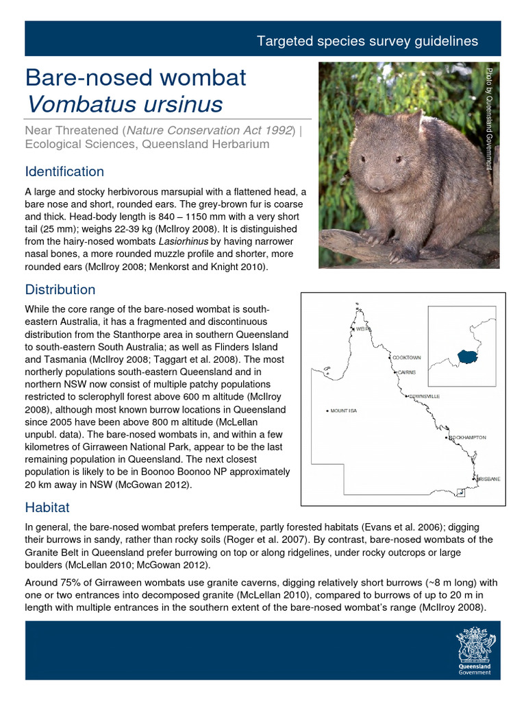 Bare-nosed Wombat Distribution Guide | PDF