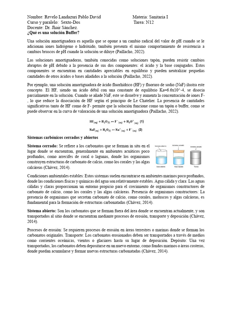 Tarea N12 | PDF | Ácido | Solución tampón