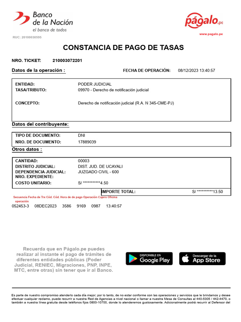 Constancia de Pago Judicial Online | PDF