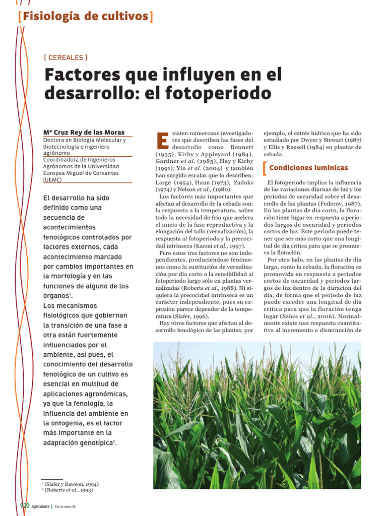 PDF Agri Agri 2008 913 920 922 | PDF | Flores | Biología