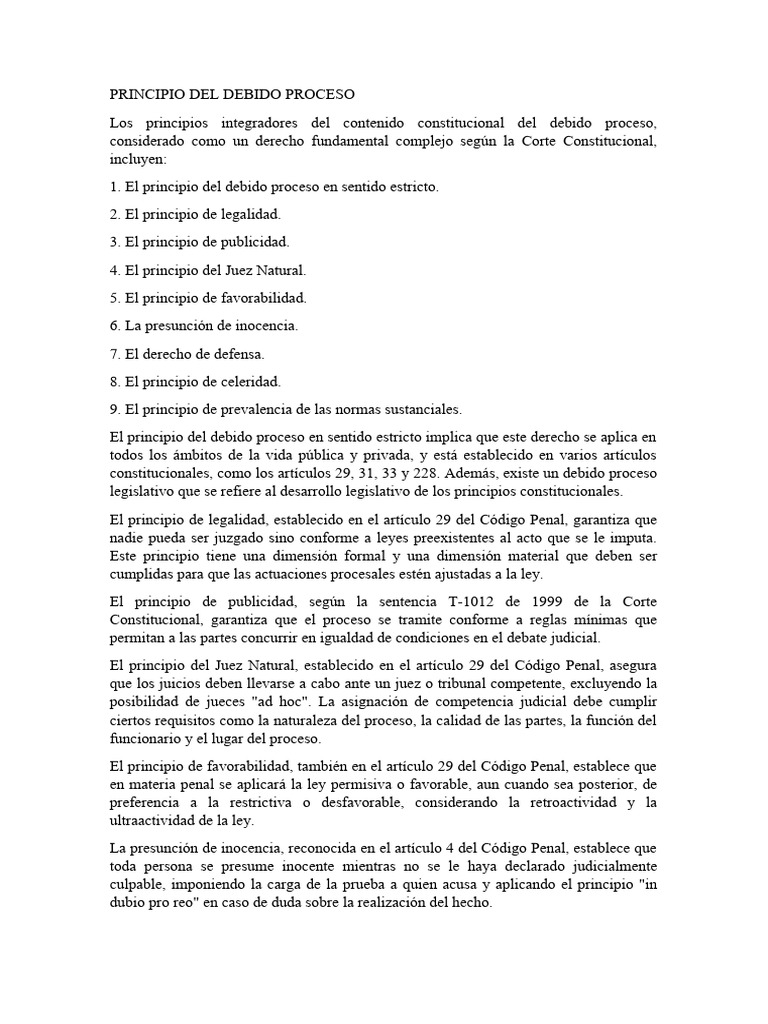 PRINCIPIOS DEL DEBIDO PROCESO | PDF | Debido al proceso | Justicia